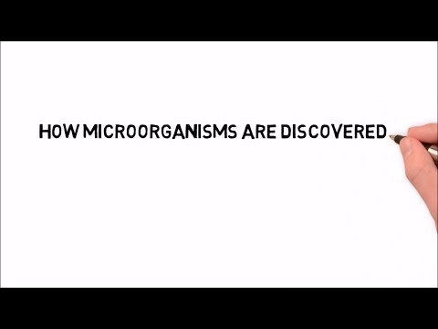 How microorganisms are discovered? what is Spontaneous generation?