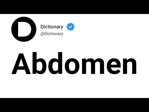 Abdomen Meaning In English
