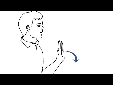 American Sign Language ASL Video Dictionary - their
