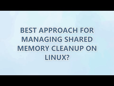 Best Approach for Managing Shared Memory Cleanup on Linux?
