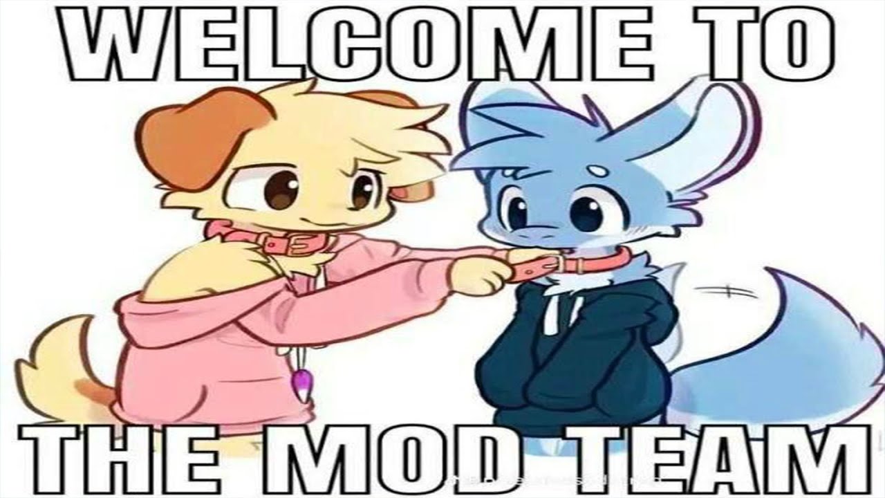 r/Furry_IRL Memes that are... umm... INTERESTING!