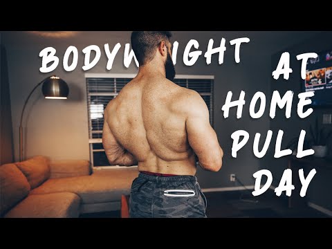 Bodyweight Back & Biceps Workout at Home (Pull Day w/ NO EQUIPMENT!!)