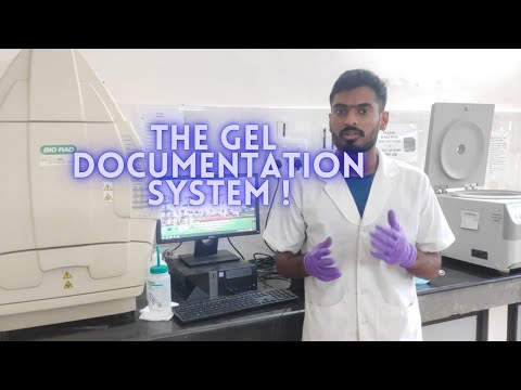 Gel Documentation System - Gel Imaging System Latest Price ...