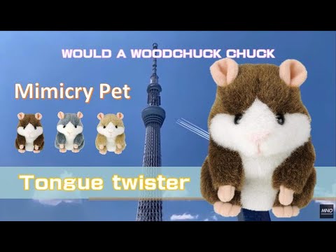 🐹 Tongue twister 🐹 HOW MUCH WOOD WOULD A WOODCHUCK CHUCK IF A WOODCHUCK COULD CHUCK WOOD?