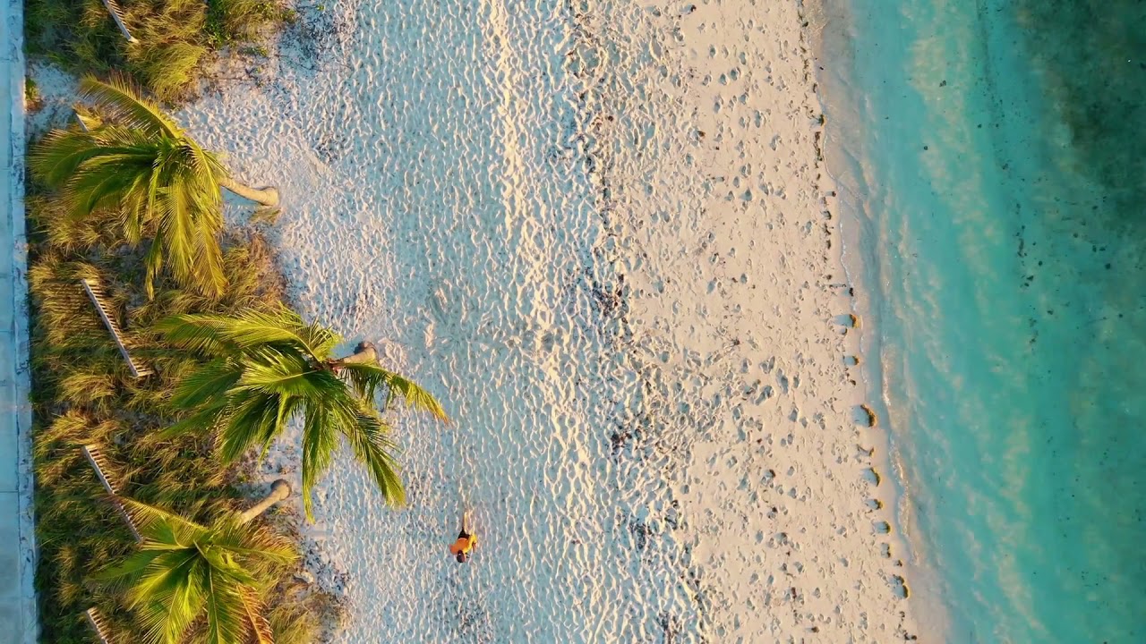 BEACH INTRO TEMPLATE #27 | NO COPYRIGHT