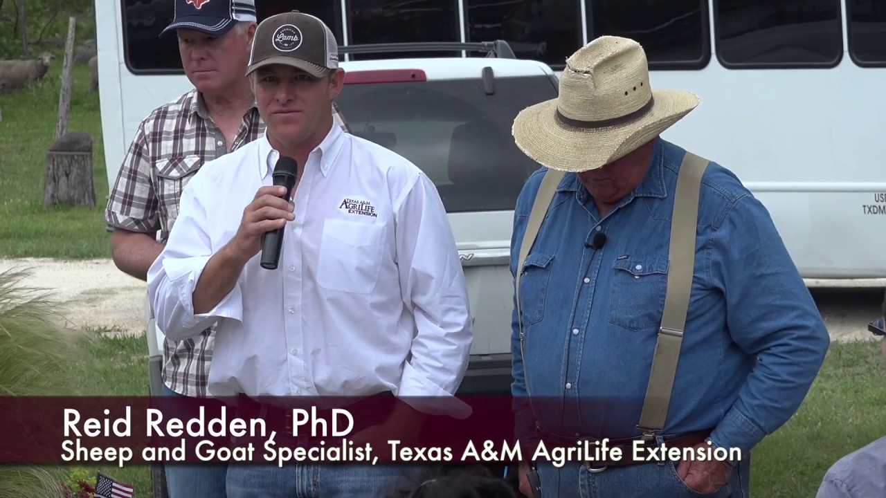 Reid Redden - Farm & Ranch Stories - Hillingdon Ranch - Sheep & Goats