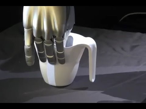 Boris, el robot que podría facilitarnos la vida en el futuro | esnol