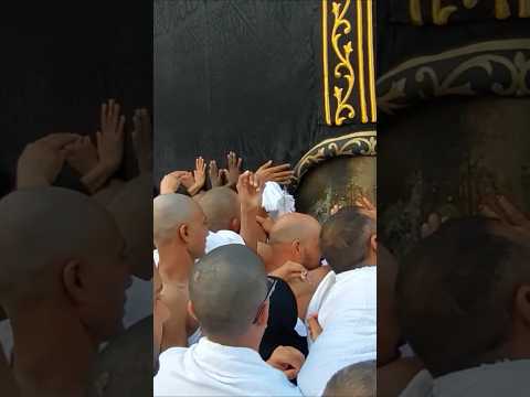 Umrah 0435 | Rukn e Yamni Istilam #islam