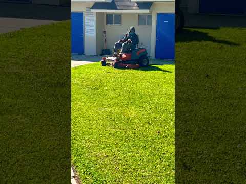 The meaning of mowing a lawn #shorts #stripes