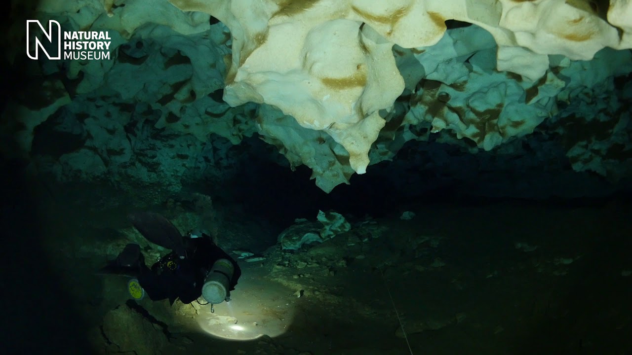 Exploring the mysteries of Earth's underwater caves | Natural History ...