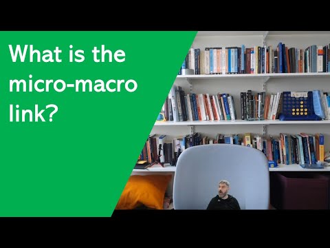 What is the micro-macro link?
