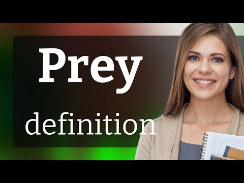 Prey — PREY definition