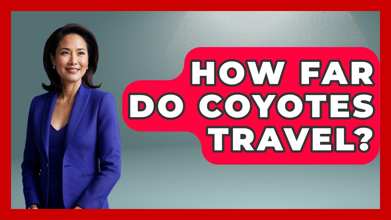How Far Do Coyotes Travel? - Exploring Campgrounds