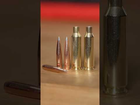 Hornady NEW 2025 Offerings in 25 caliber!