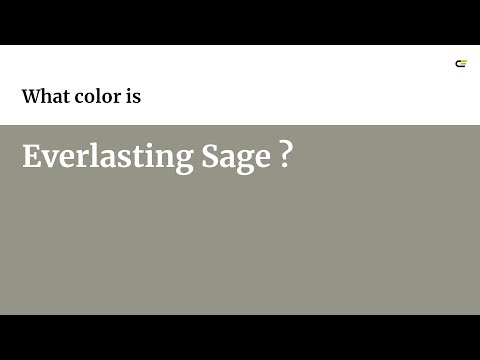 Everlasting Sage color #949587 hex color - Green color - Cool color 949587