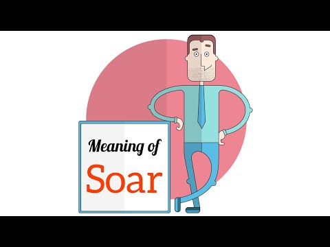 Meaning of 'Soar'