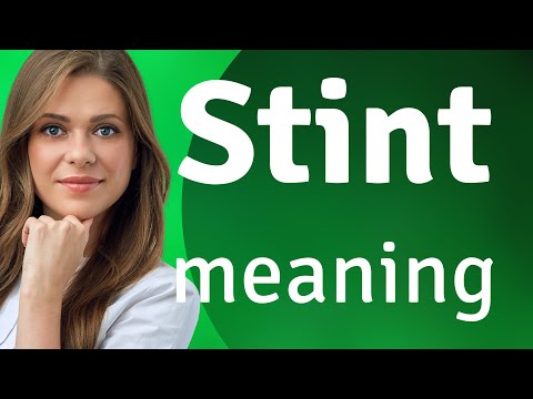 Deciphering "Stint": More Than Just a Word!