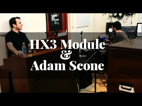 Keyboard Partners Hx3.5 Organ module 2020 | Reverb