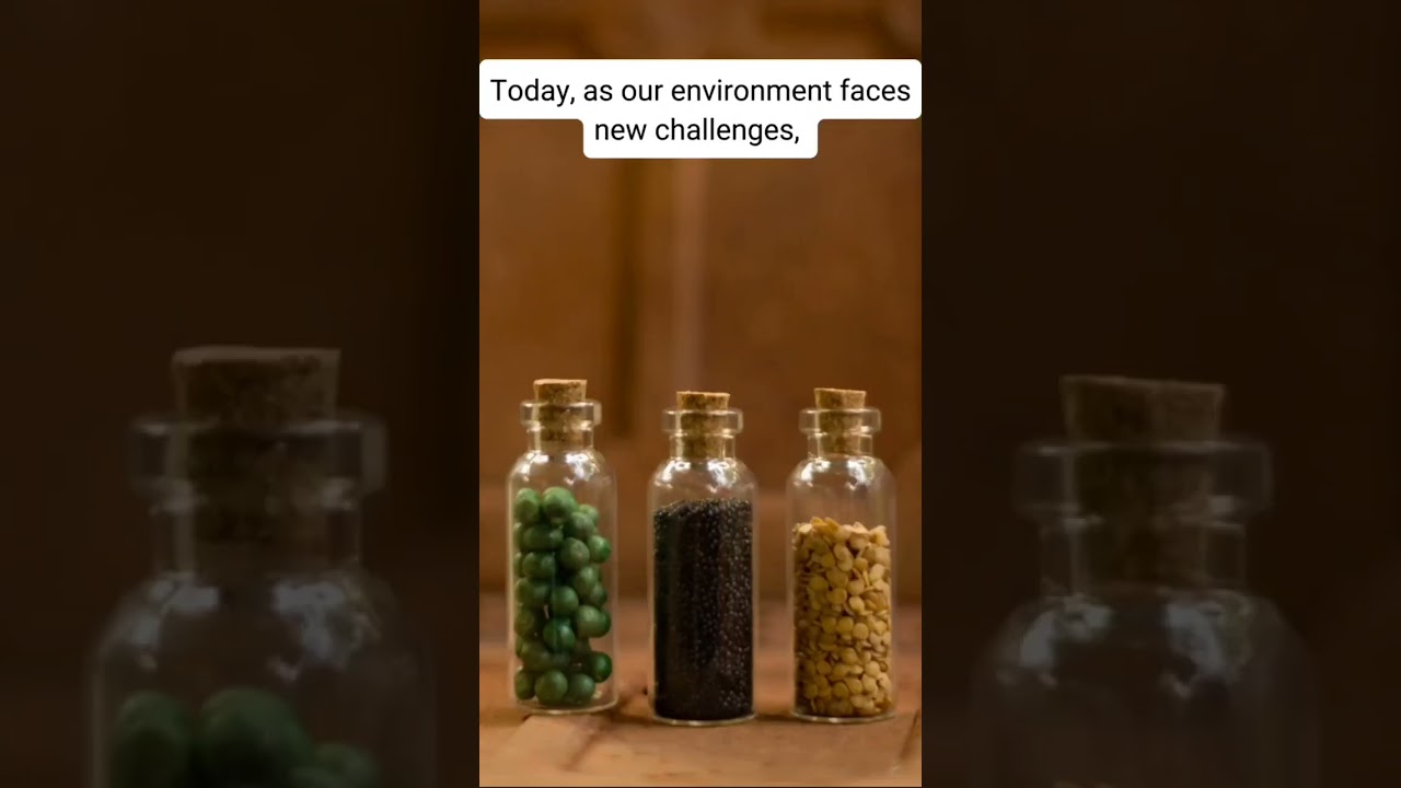 Green Gifting Ideas | Seed Balls, Seed Jars & Seed Pencils – Eco-Friendly Return Gifts