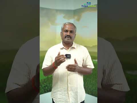 What is Manure?