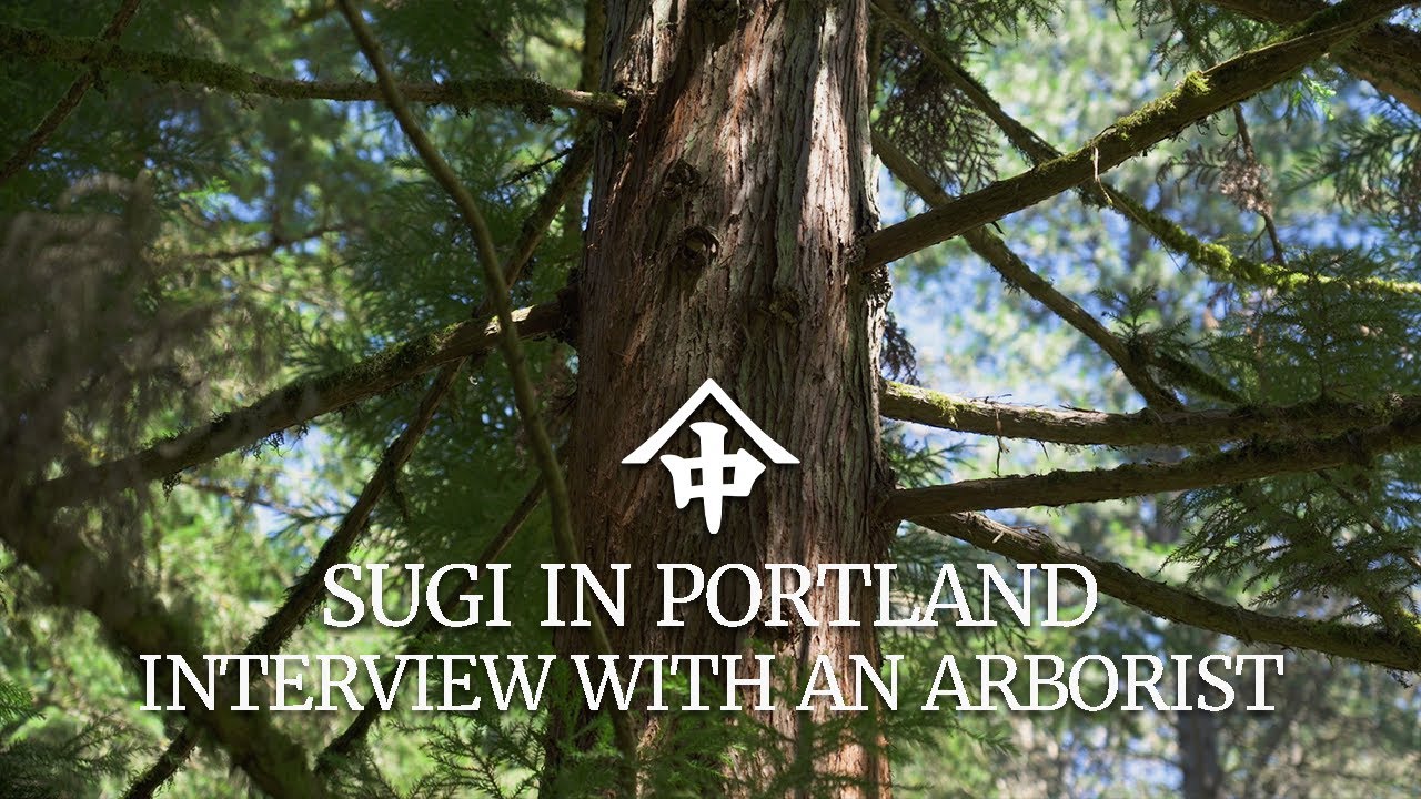 Sugi in Portland! - Interview with Casey Clapp from Completely Arbortrary | Nakamoto Forestry