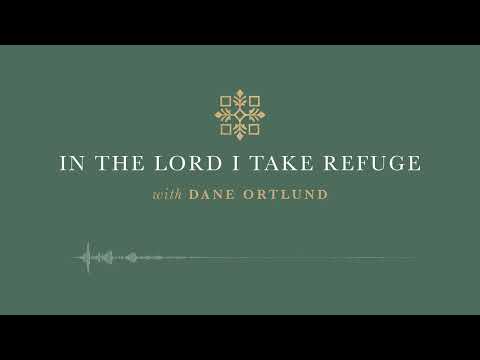 In the Lord I Take Refuge: Psalm 131 - I Have Calmed and Quieted My Soul