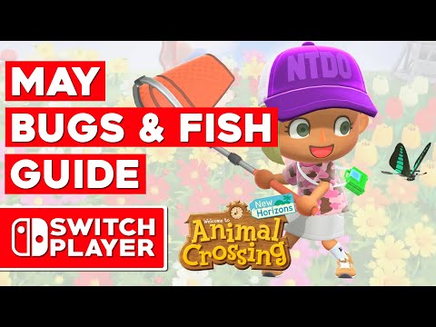May Fish & Bug Guide (Northern Hemisphere) - Animal Crossing New Horizons