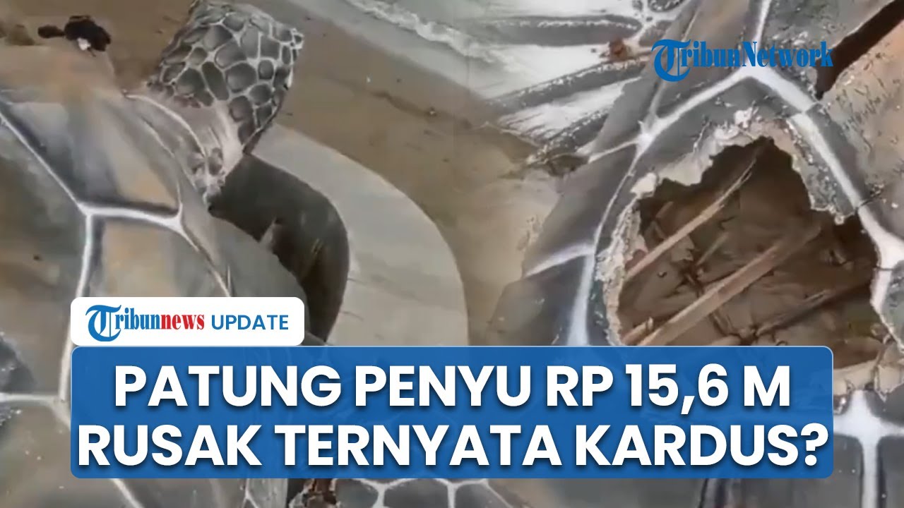Heboh Patung Penyu Rp 15,6 M di Sukabumi Rusak & Berlubang, Ternyata Terbuat dari Material ...