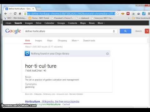 Google Chrome Dictionary