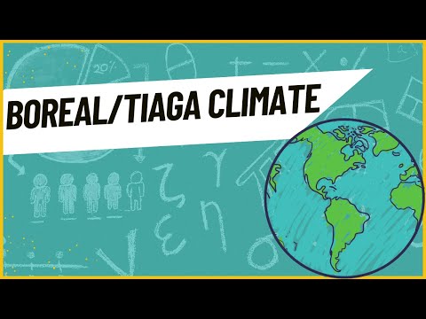 Discovering the Boreal Taiga Climate