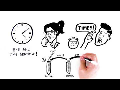 Biofuel Enzyme Kit Student Activity Video Quick Guide