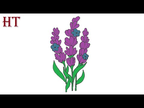 How to draw Lavender Flower Step by Step – I'm Youtuber – Follow my ...