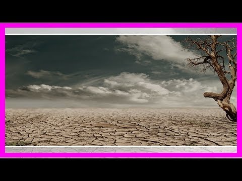Desertifikation verständlich erklärt: Wenn die Wüste wächst