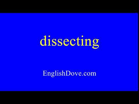 How to pronounce dissecting in American English.