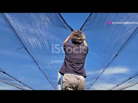 How Photoselective Nets Revolutionize Farming