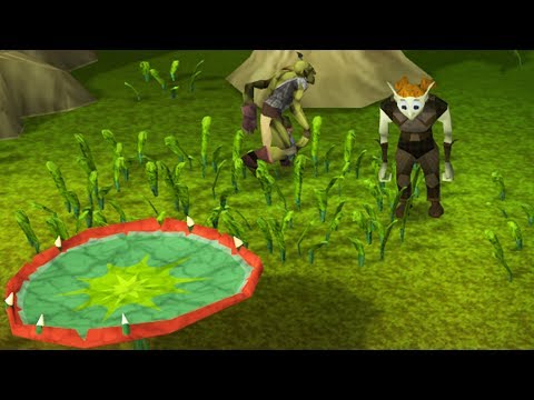 5 Things That Didn't Make It Into OSRS