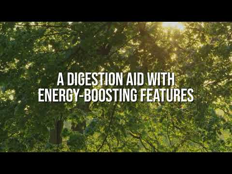 Best Multivitamin Tablets In India - Himalayan Organics Multivitamin For Men and Women