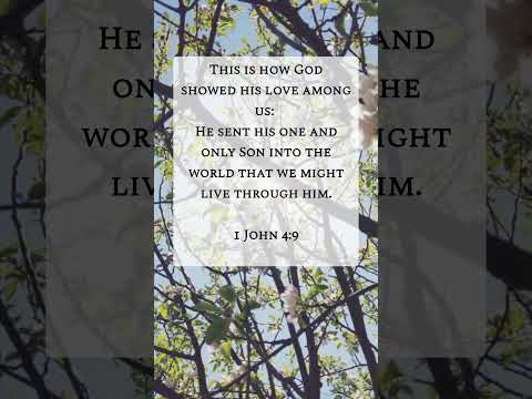 BIBLE VERSE 1 JOHN 4:9 #bible #shorts