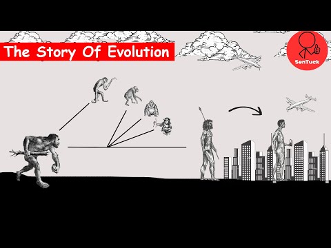 How Humans Evolved (The Whole Crazy Story)