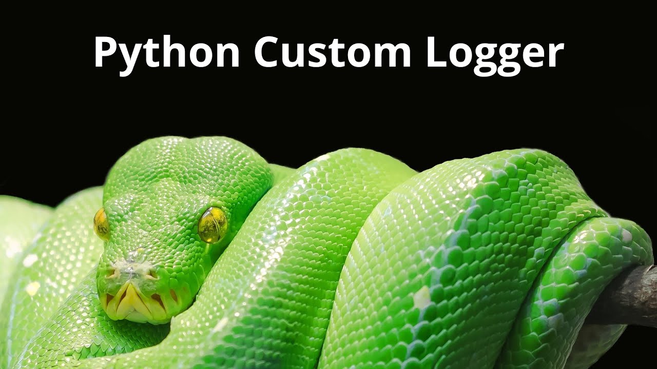 Python logging, custom logger with color and format
