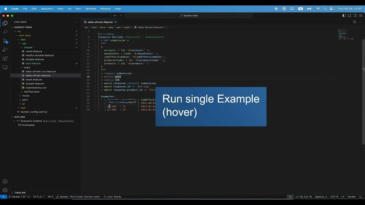 Karate VS Code Extension - 2024