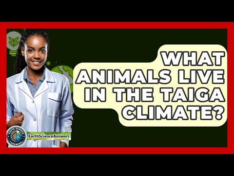 What Animals Live In The Taiga Climate? - Earth Science Answers