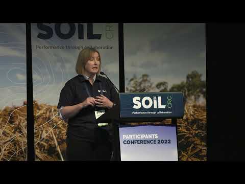 New amendments for sandy soils