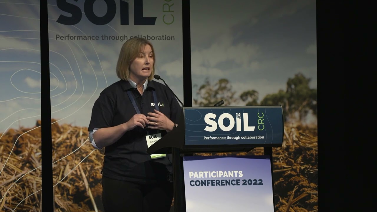 New amendments for sandy soils