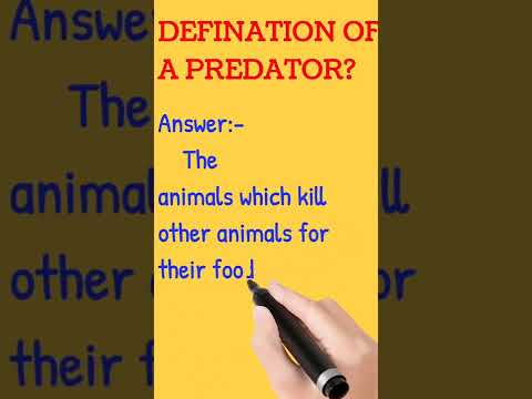 Definition of a Predator? /#shorts /#definition .