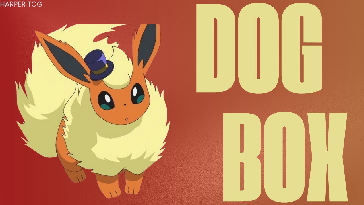 The Complete Guide to Eevee Box | Detailed Decklist and Matchup Guide