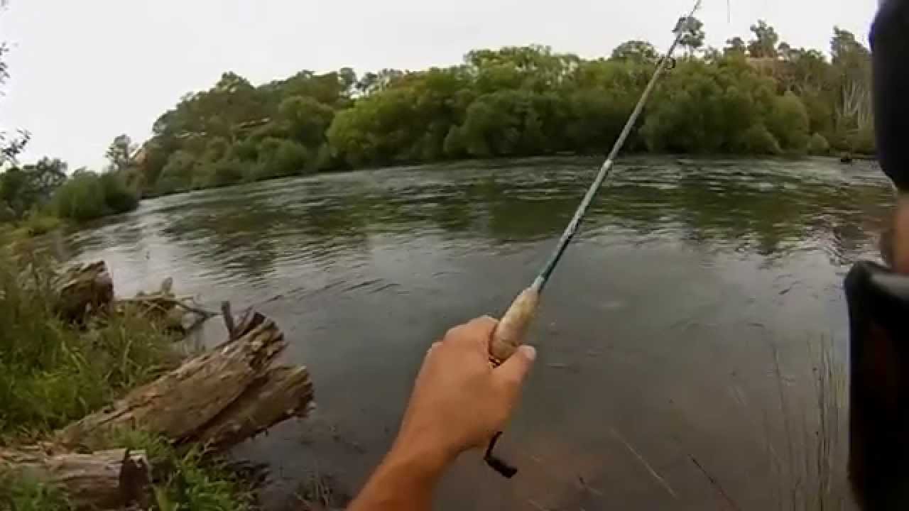 Best Trout lures 'Bullet Minnow'