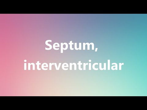 Septum, interventricular - Medical Meaning and Pronunciation