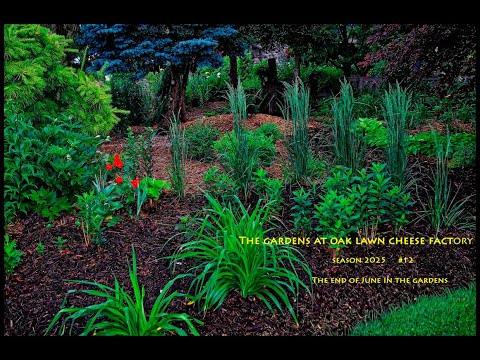 The Gardens at Oak Lawn Cheese Factory: Season 2025 #12 end of June