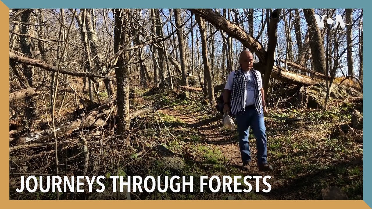 Journeys through Forests | VOA Connect
